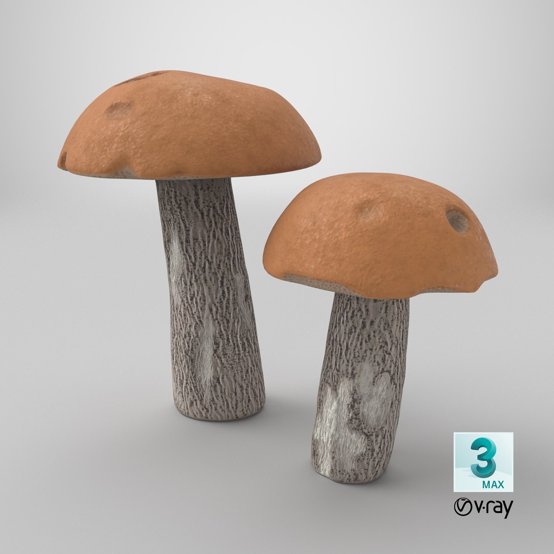 3D Brown Cap Boletus - TurboSquid 2216622
