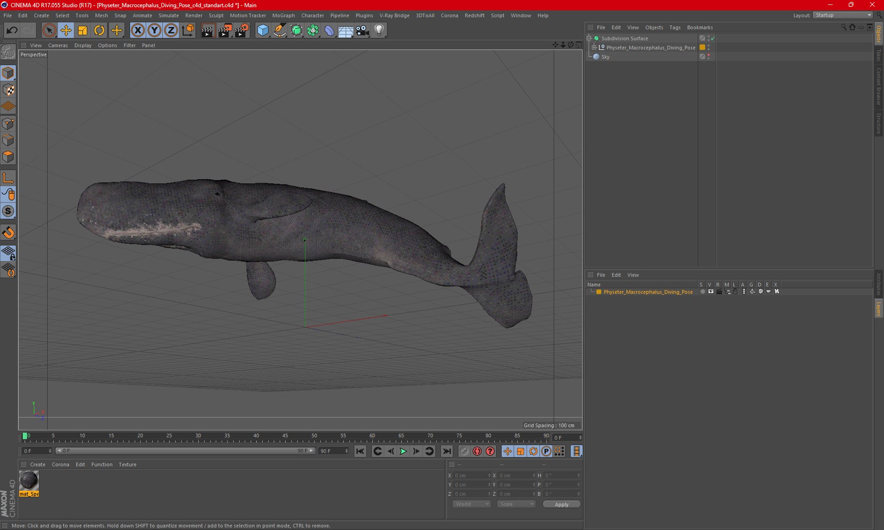 Physeter Macrocephalus Diving Pose 3D Model - TurboSquid 2139756