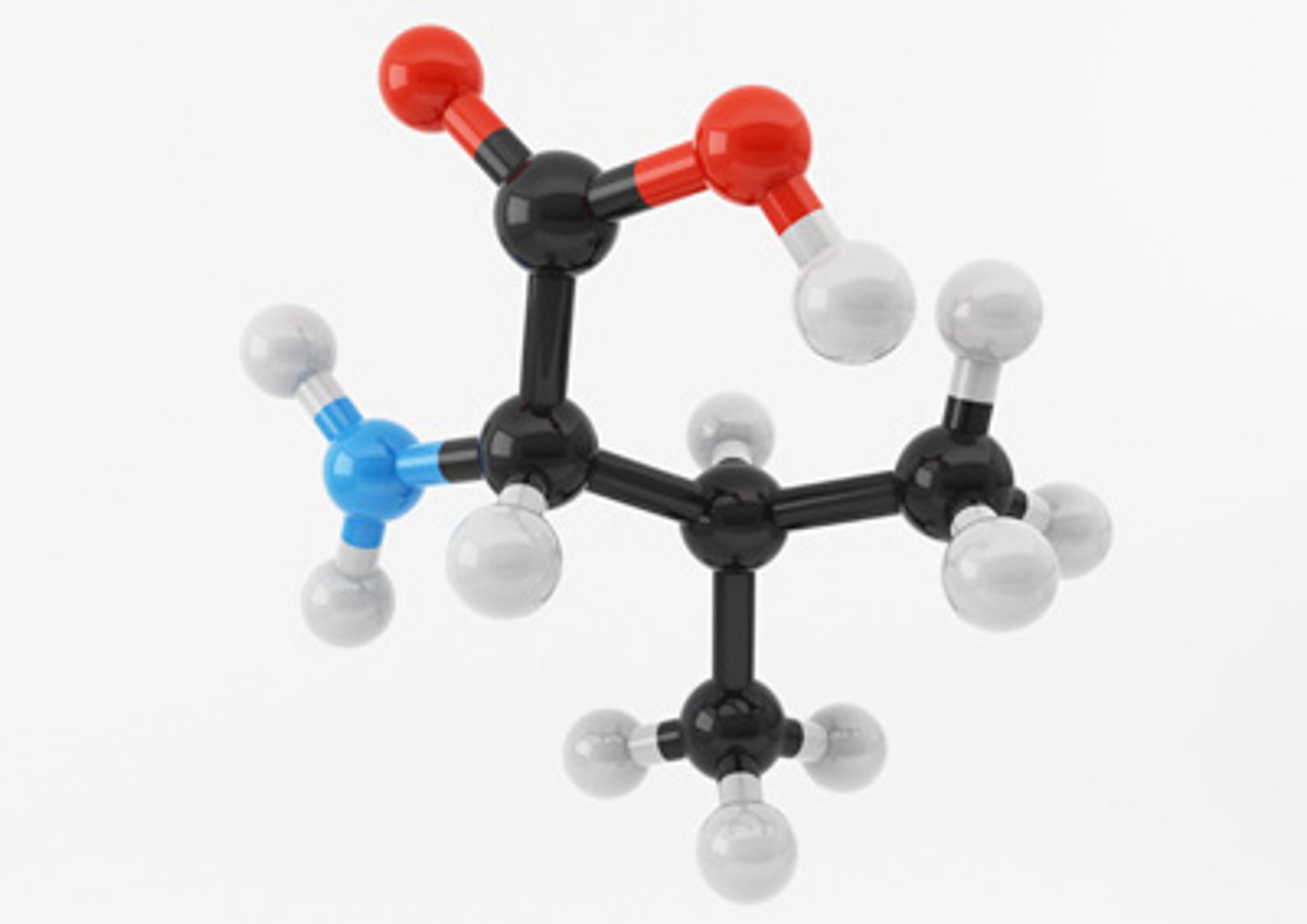 3d Model Amino Acids