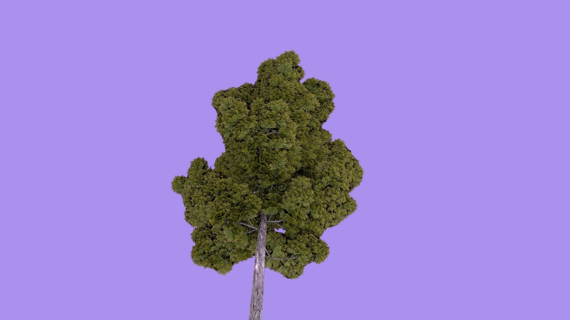 free 3ds mode tree