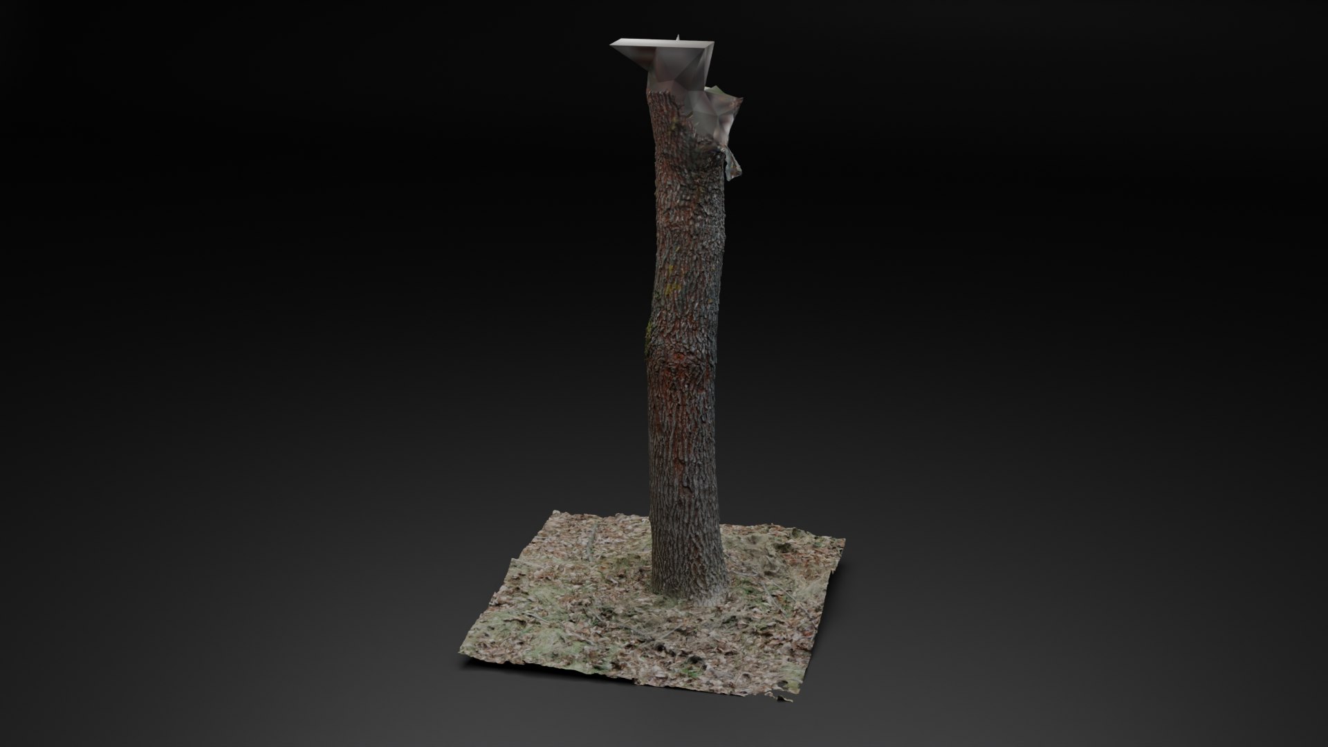 Tree 3D Model - TurboSquid 2008443