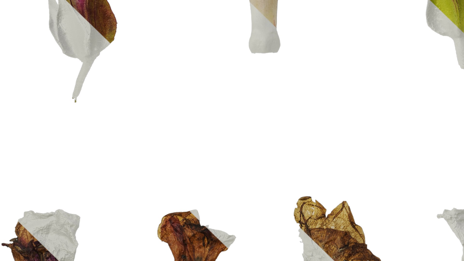 3D Anydrafts Azarina Atlas 01 Textures - TurboSquid 2352496