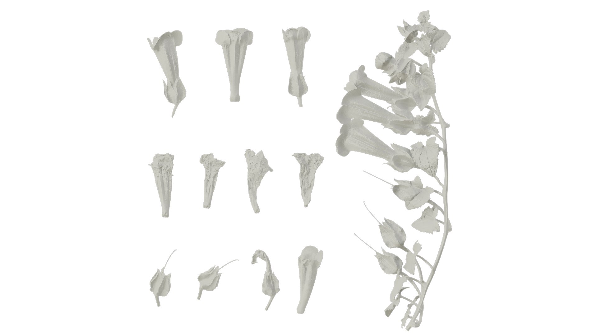 3D Anydrafts Azarina Atlas 01 Textures - TurboSquid 2352496