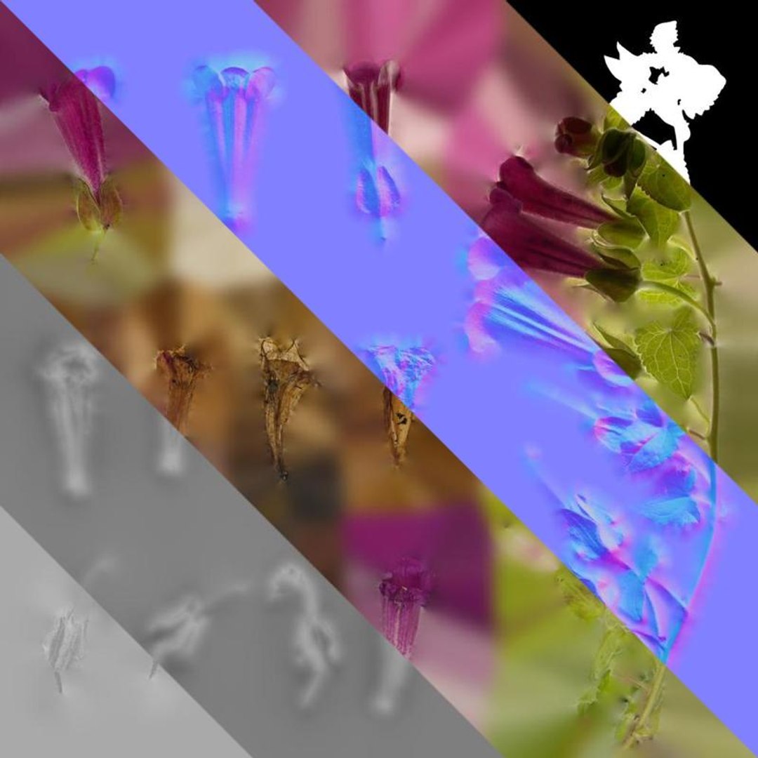 3D Anydrafts Azarina Atlas 01 Textures - TurboSquid 2352496