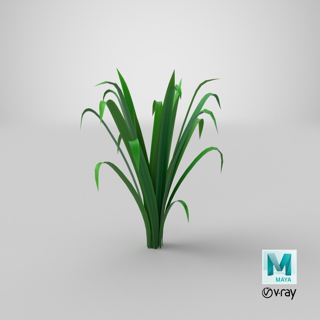 3D Cartoon Long Grass 06 - TurboSquid 2046381