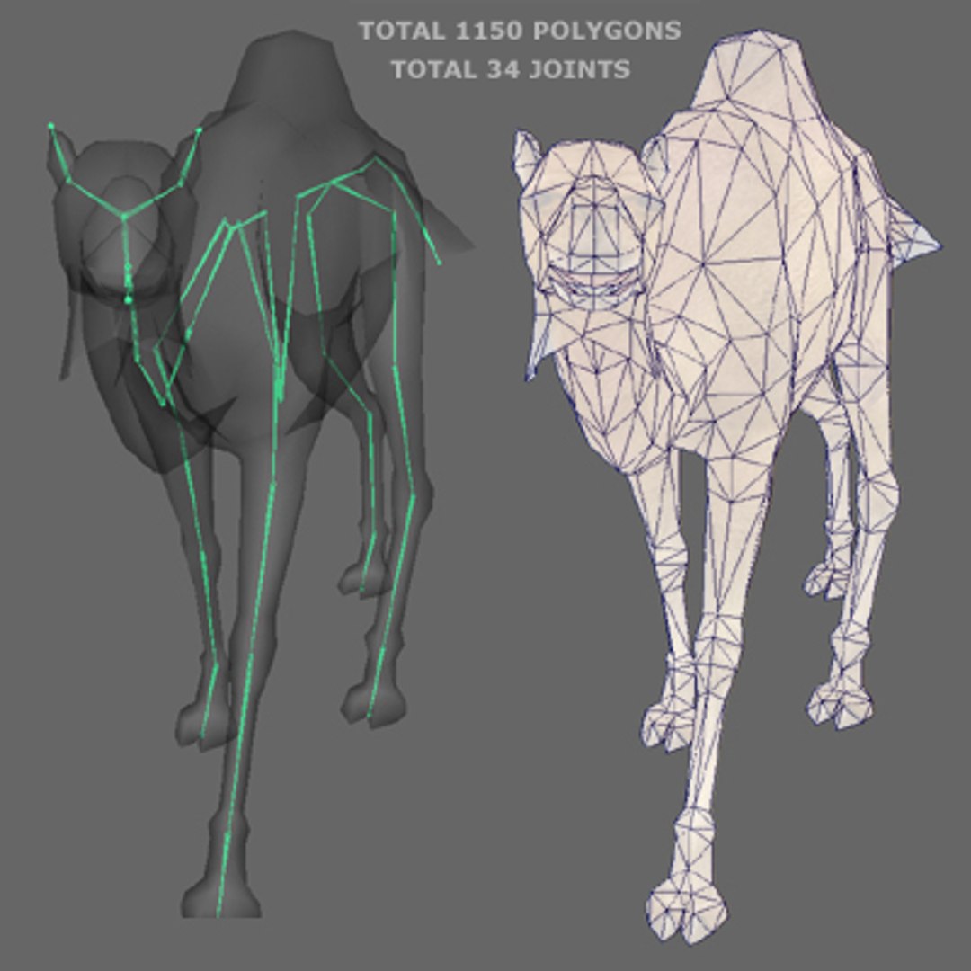 3ds Max Camel 01