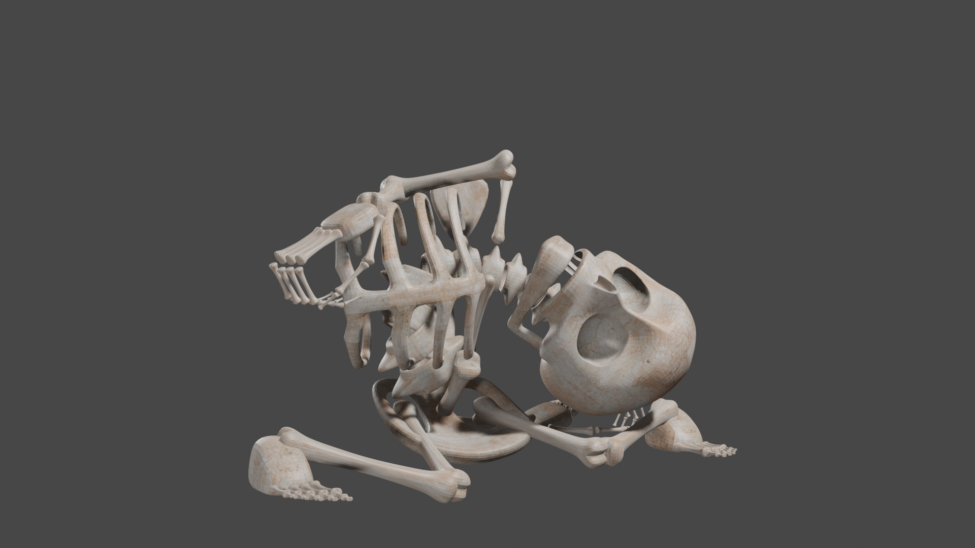 Skeleton Model - TurboSquid 2163005