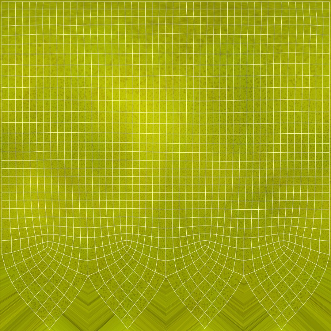 Cartoon Pomelo 3D - TurboSquid 2091303