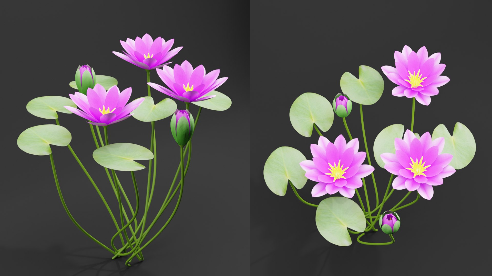 3D WaterLily Plant Collection Model - TurboSquid 2160814