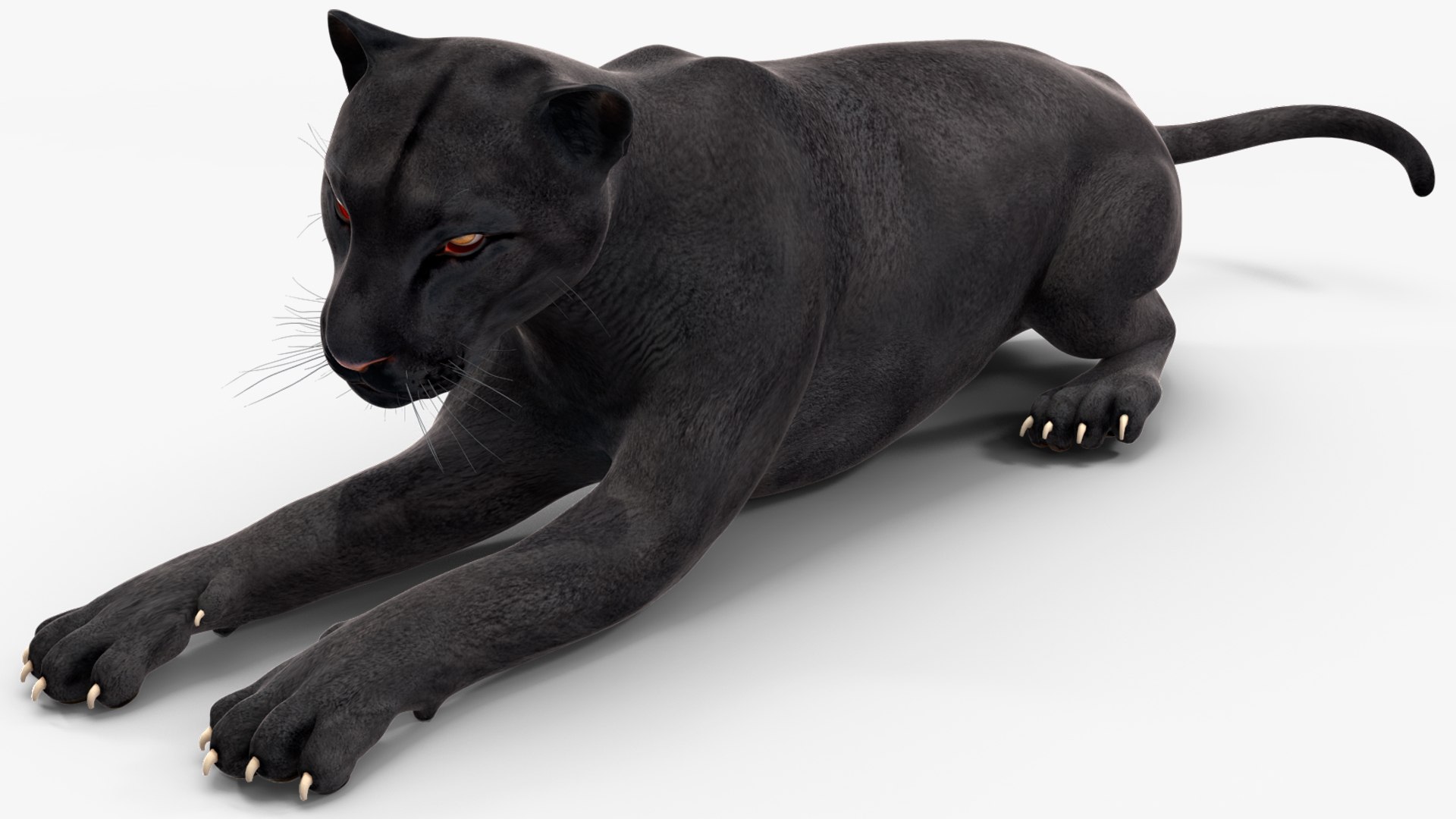 Black Panther Rigged 3D Model - TurboSquid 2211845