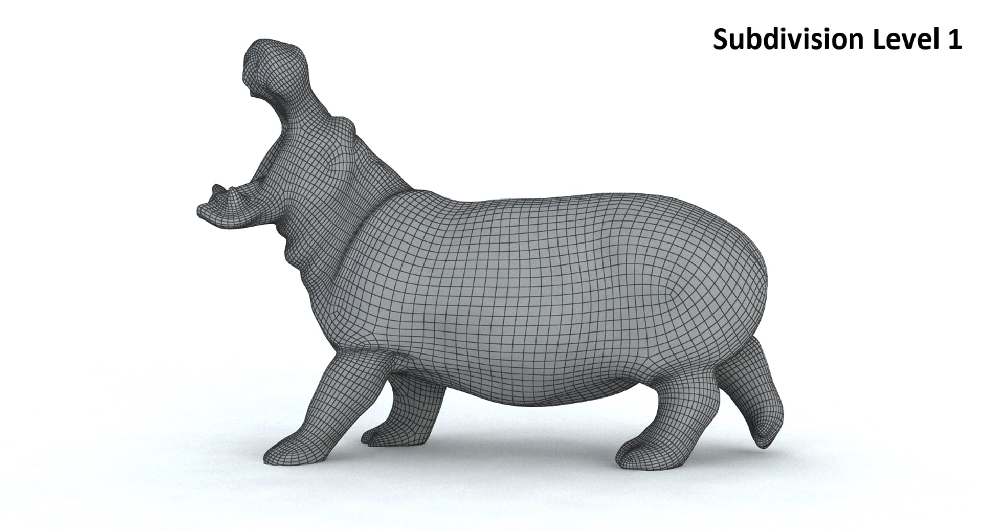 3d model of hippopotamus hippo