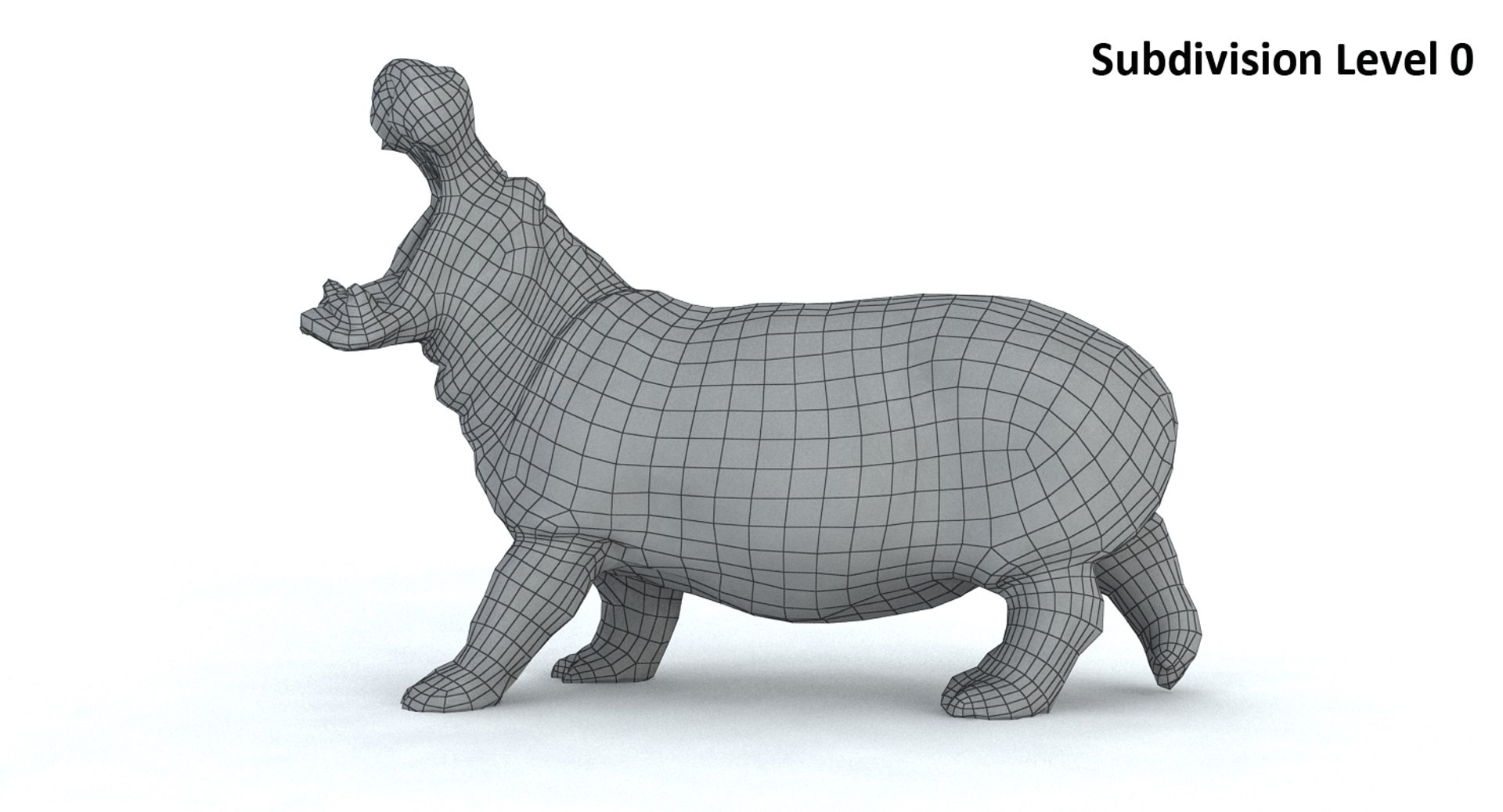 3d model of hippopotamus hippo