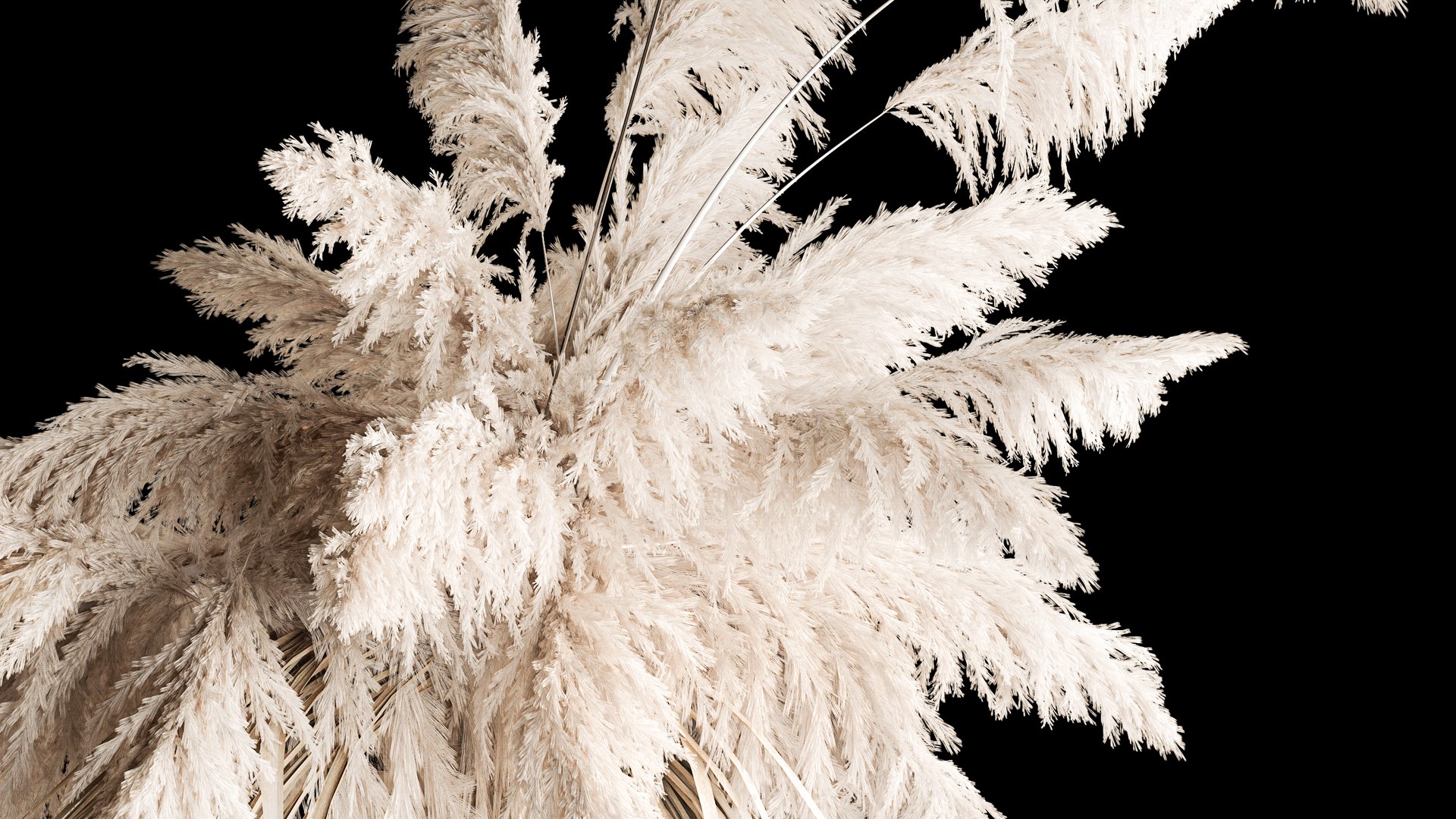 Hanging Bouquet Of Dry Reeds For Decoration 260 3D - TurboSquid 1927582