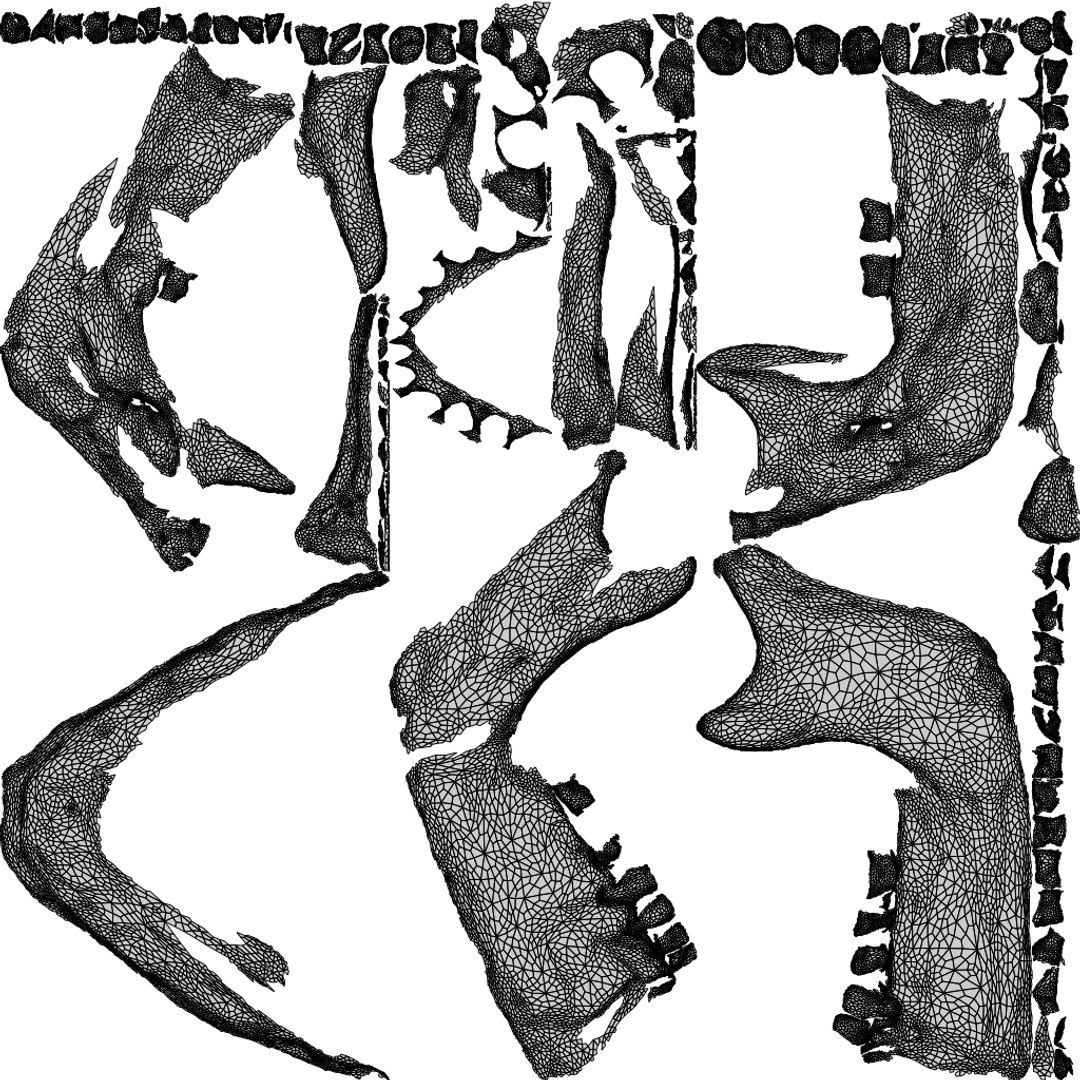 Scull Anatomical 3D Model - TurboSquid 2048593