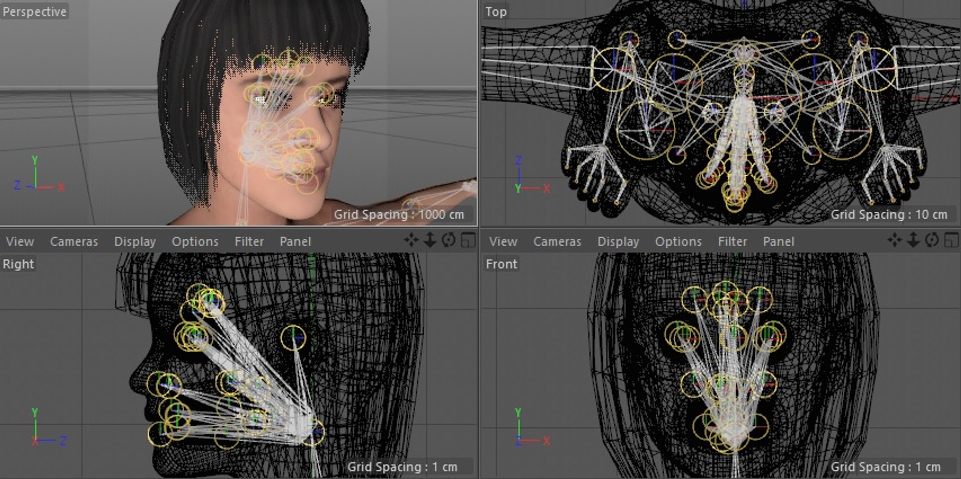 3D Rigged Female - TurboSquid 1393446