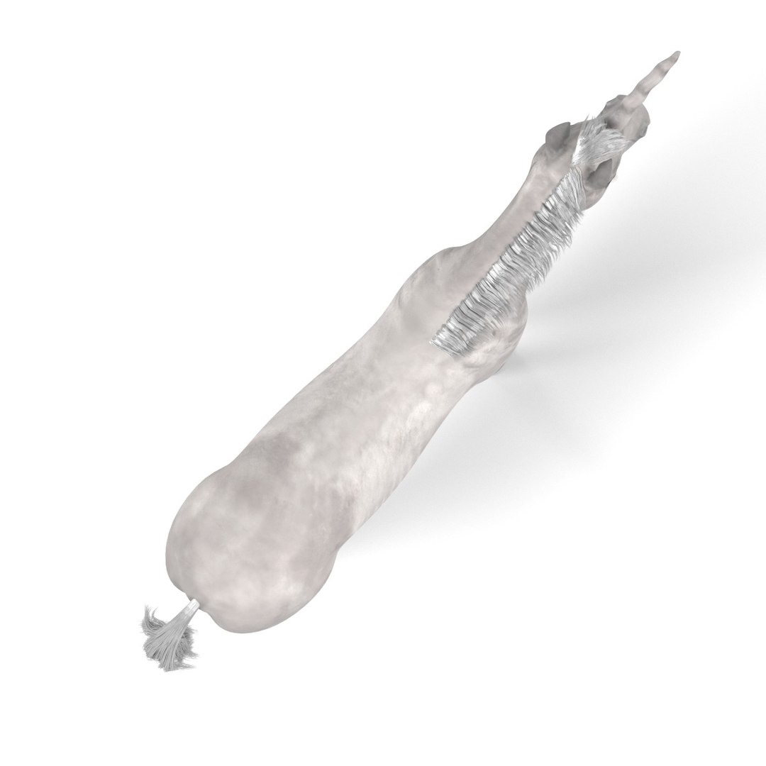 Unicorn Tail 3d Model
