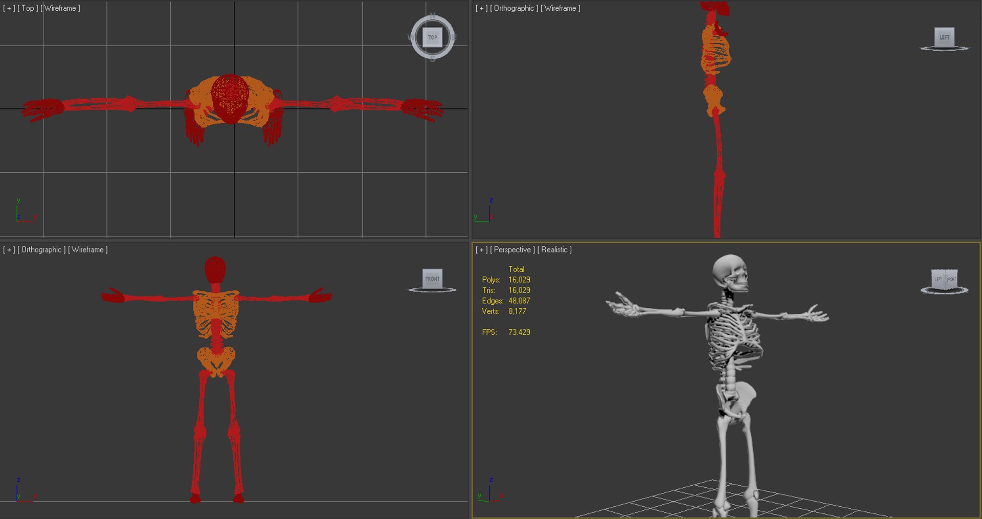 3dsmax Simple Skeleton