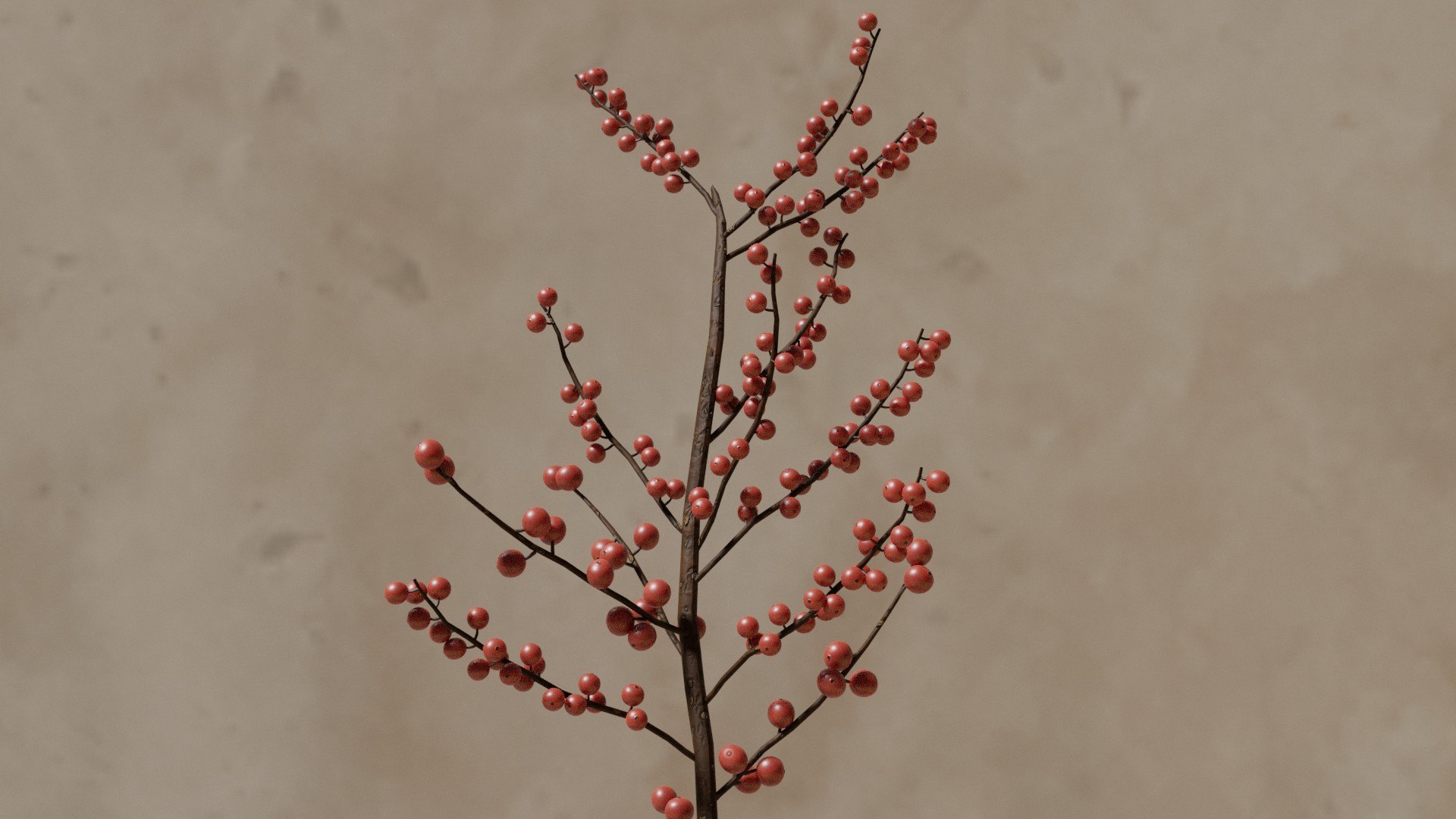 3D Decorative bouquet of ilex branches with red berries model ...