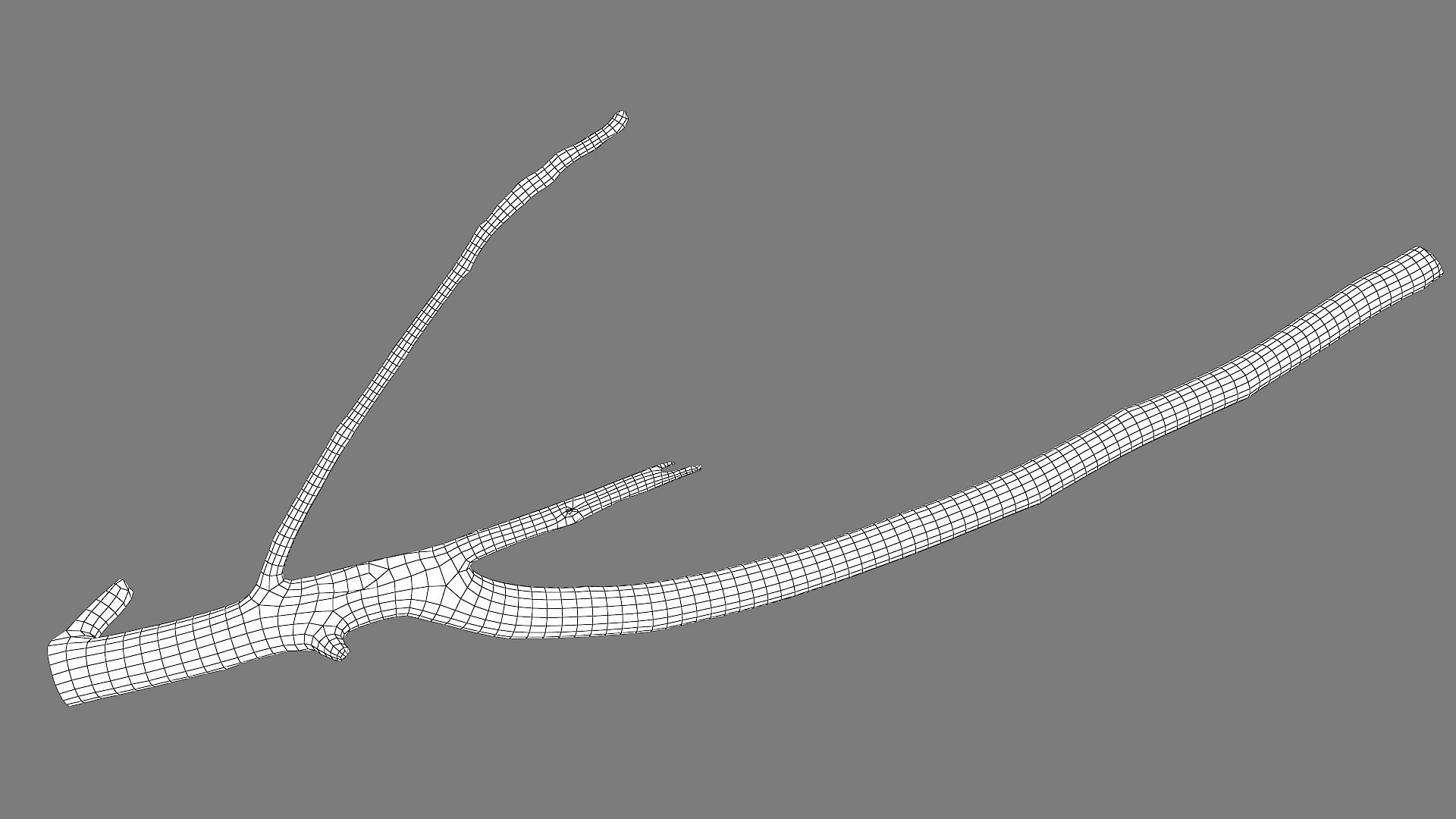 3D Model Twig Scanned 10 - TurboSquid 2088899