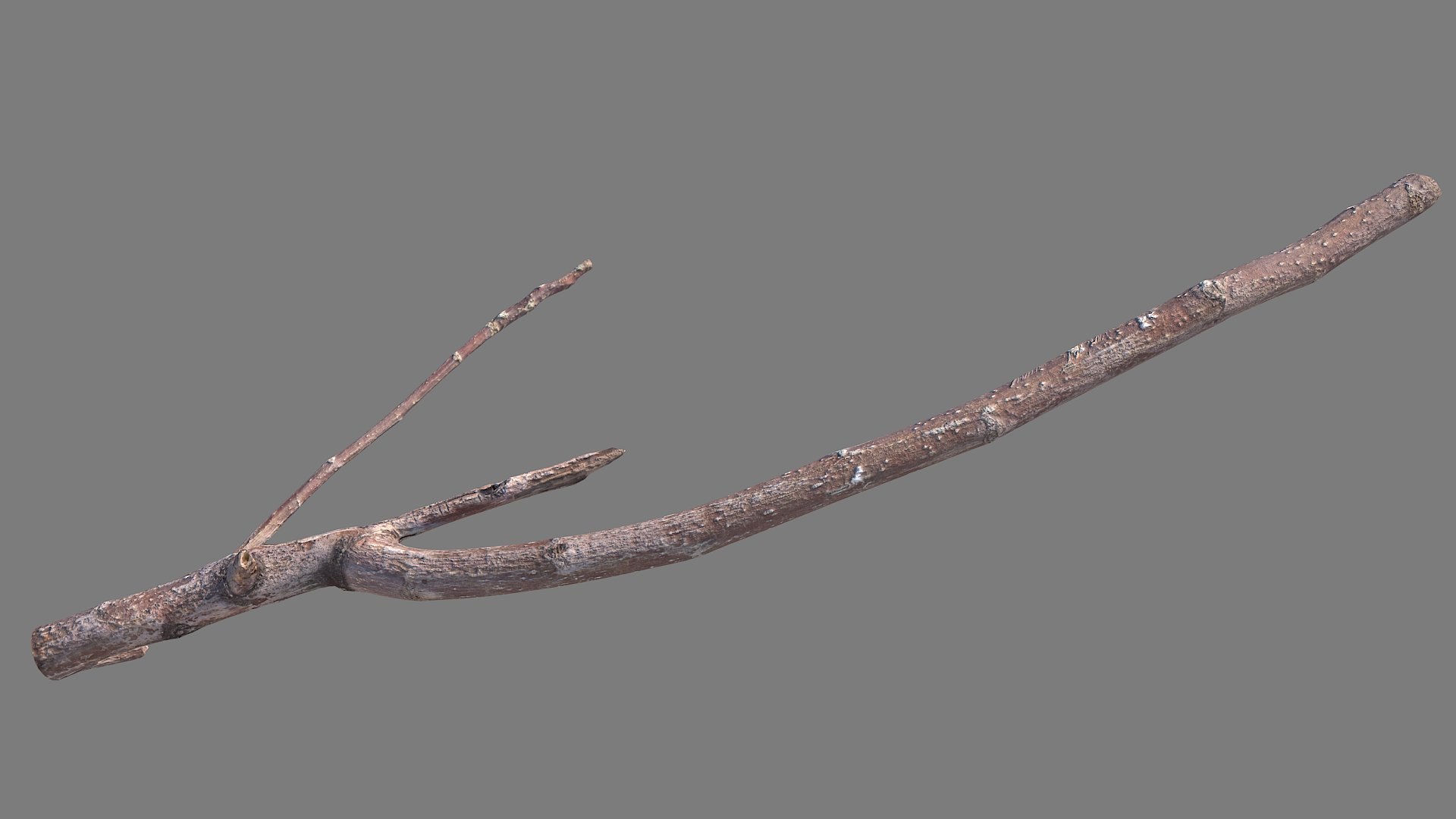3D Model Twig Scanned 10 - TurboSquid 2088899