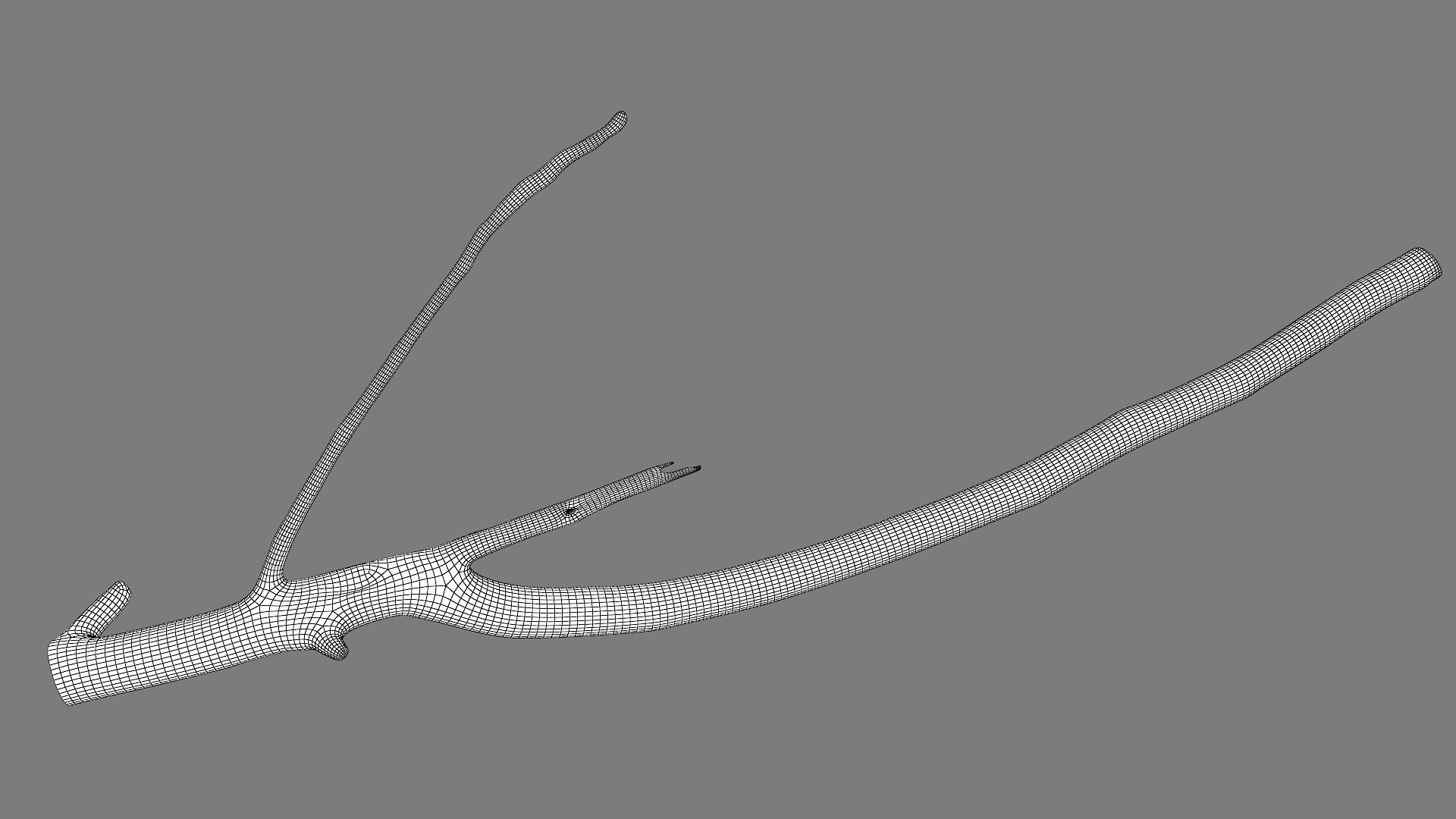3D Model Twig Scanned 10 - TurboSquid 2088899