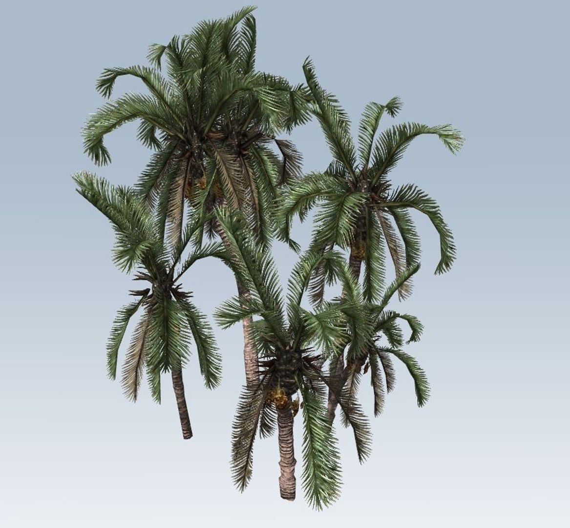 3D Model Palm Tree - TurboSquid 1355418