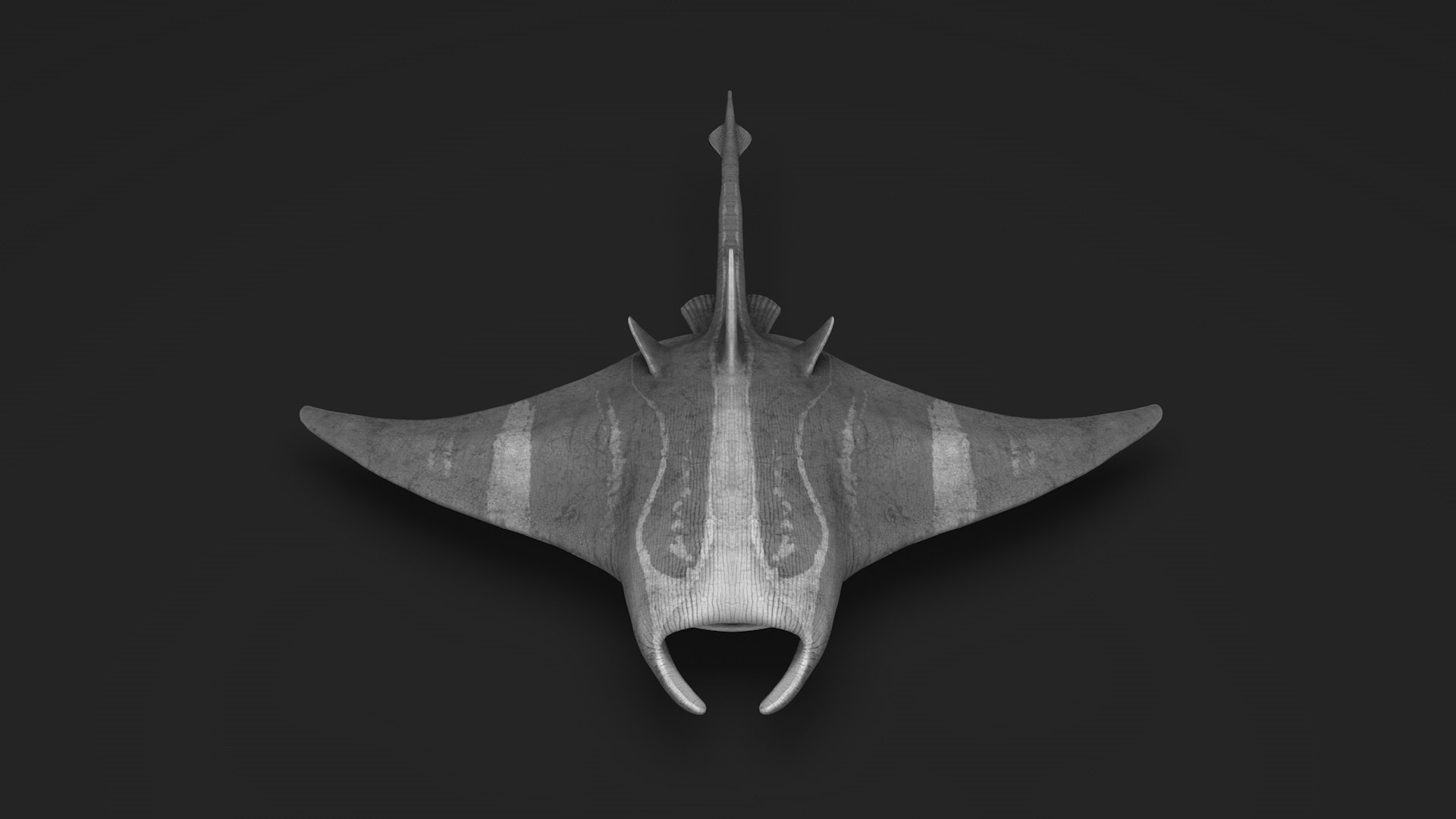 3D Manta Ray - TurboSquid 2369901