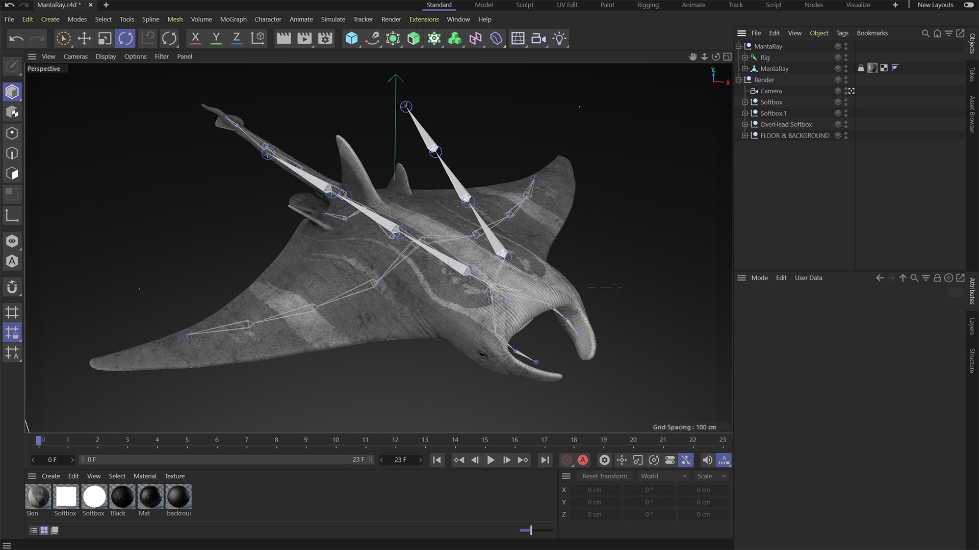 3D Manta Ray - TurboSquid 2369901