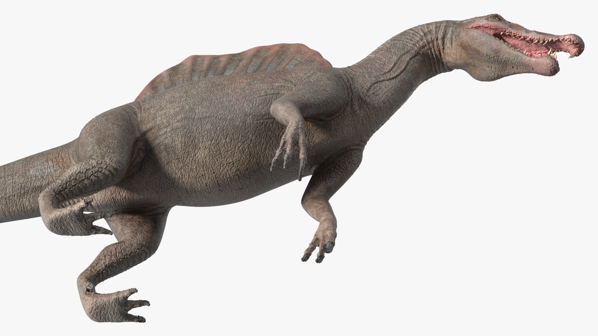 3D Model Spinosaurus Basic Pose - TurboSquid 2269739