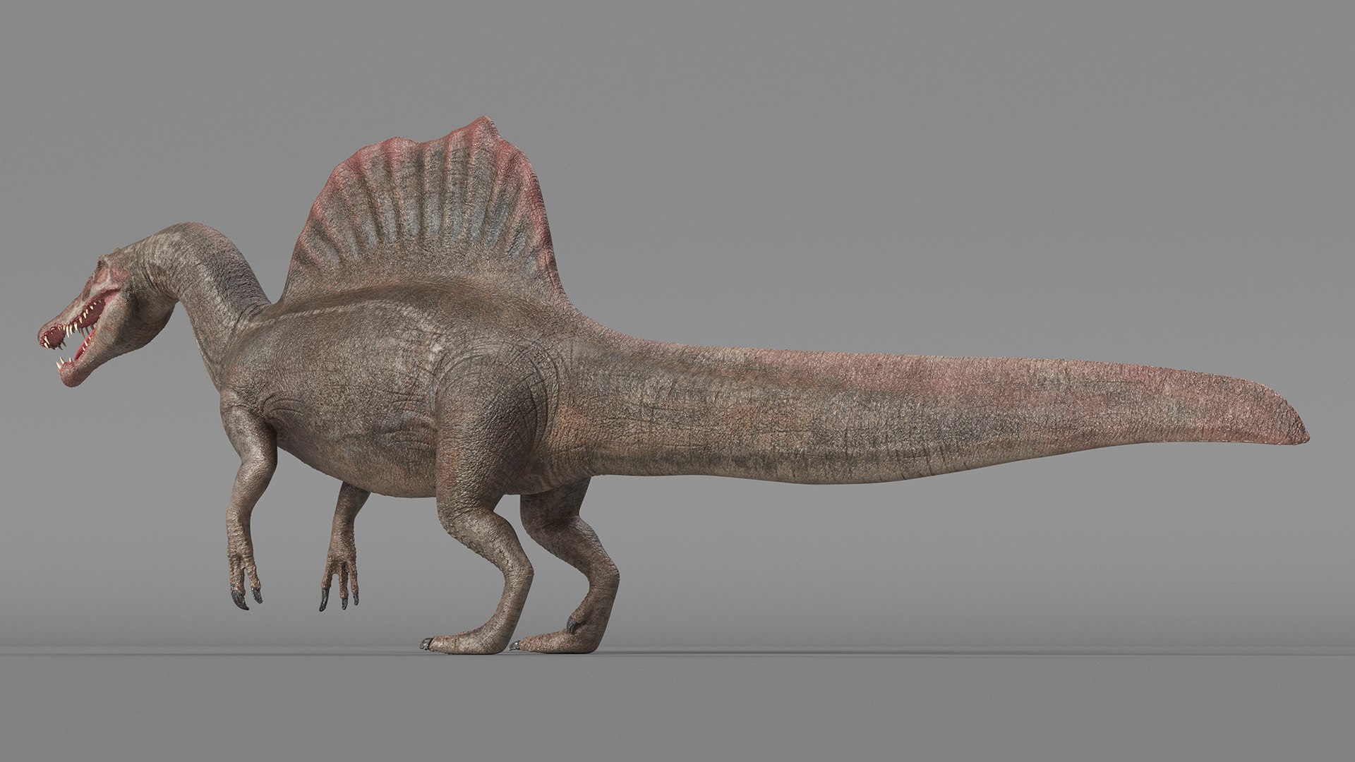 3D Model Spinosaurus Basic Pose - TurboSquid 2269739
