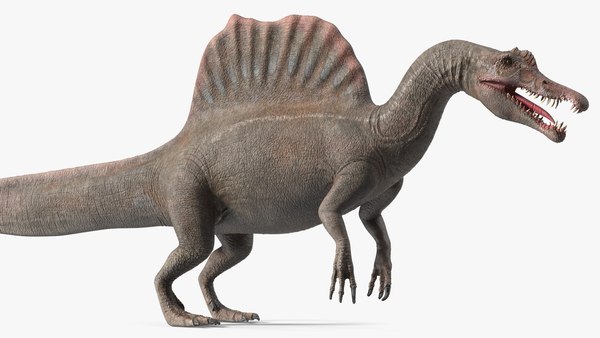 modelo 3d Postura básica del Spinosaurus - TurboSquid 2269739