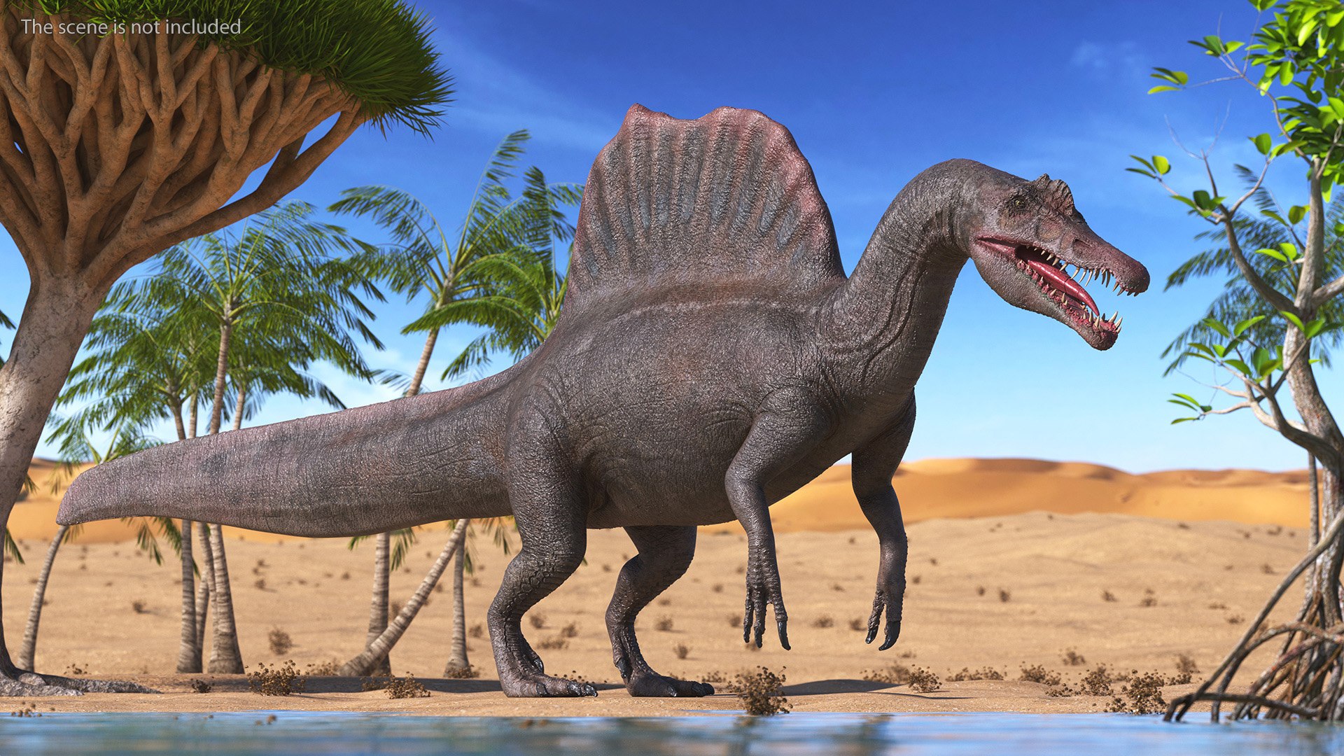 3D Model Spinosaurus Basic Pose - TurboSquid 2269739