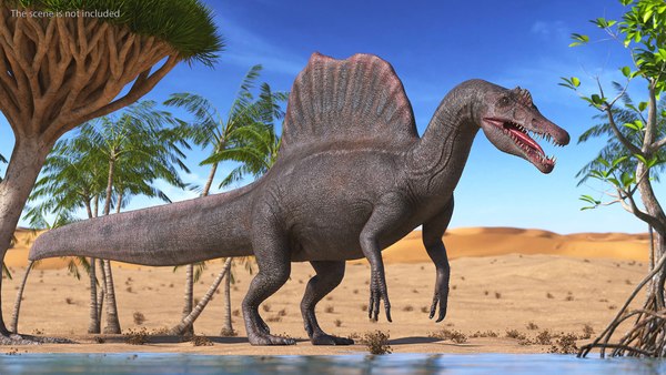 modelo 3d Postura básica del Spinosaurus - TurboSquid 2269739