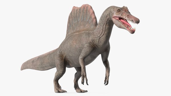 modelo 3d Postura básica del Spinosaurus - TurboSquid 2269739