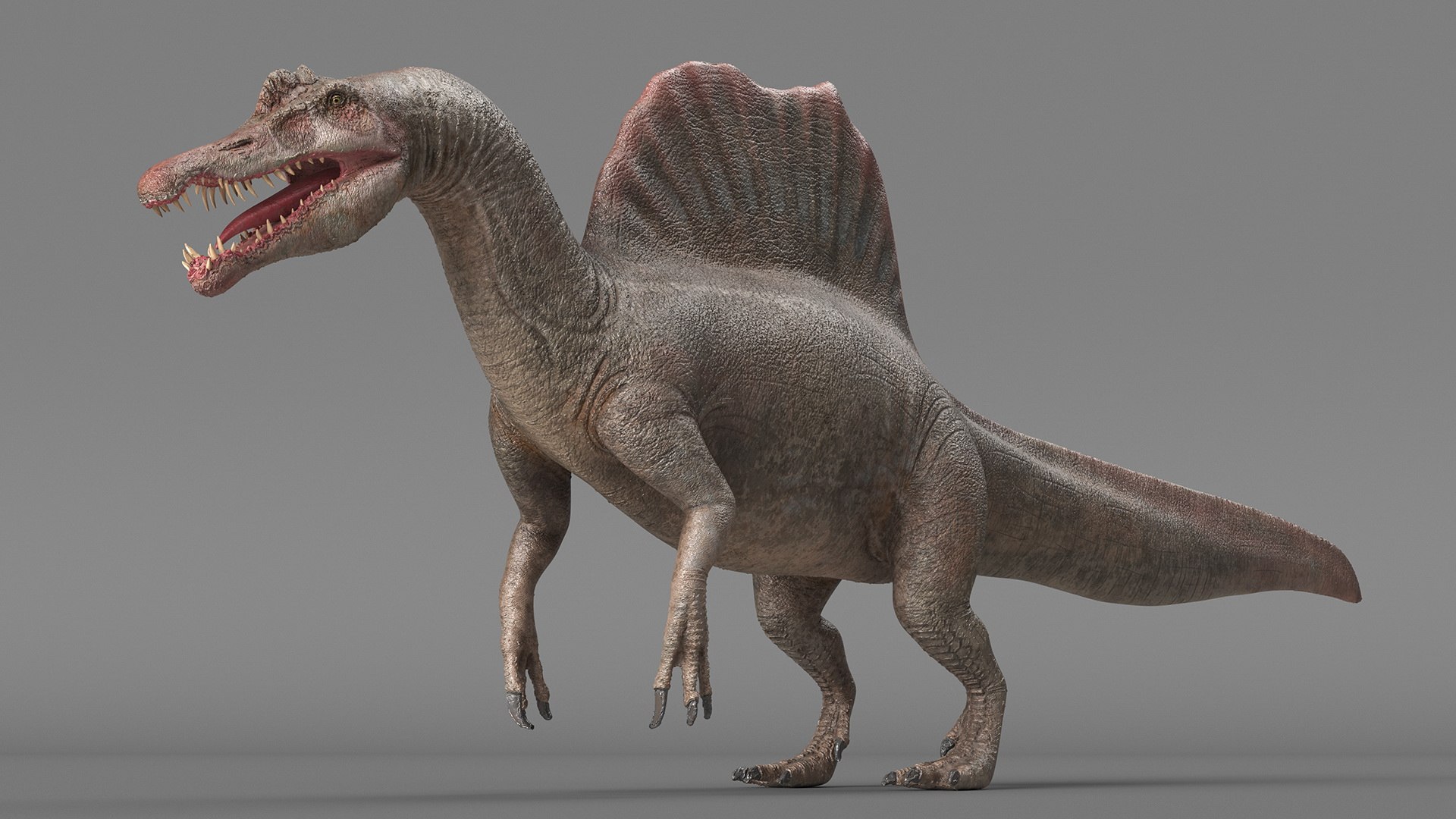 3D Model Spinosaurus Basic Pose - TurboSquid 2269739