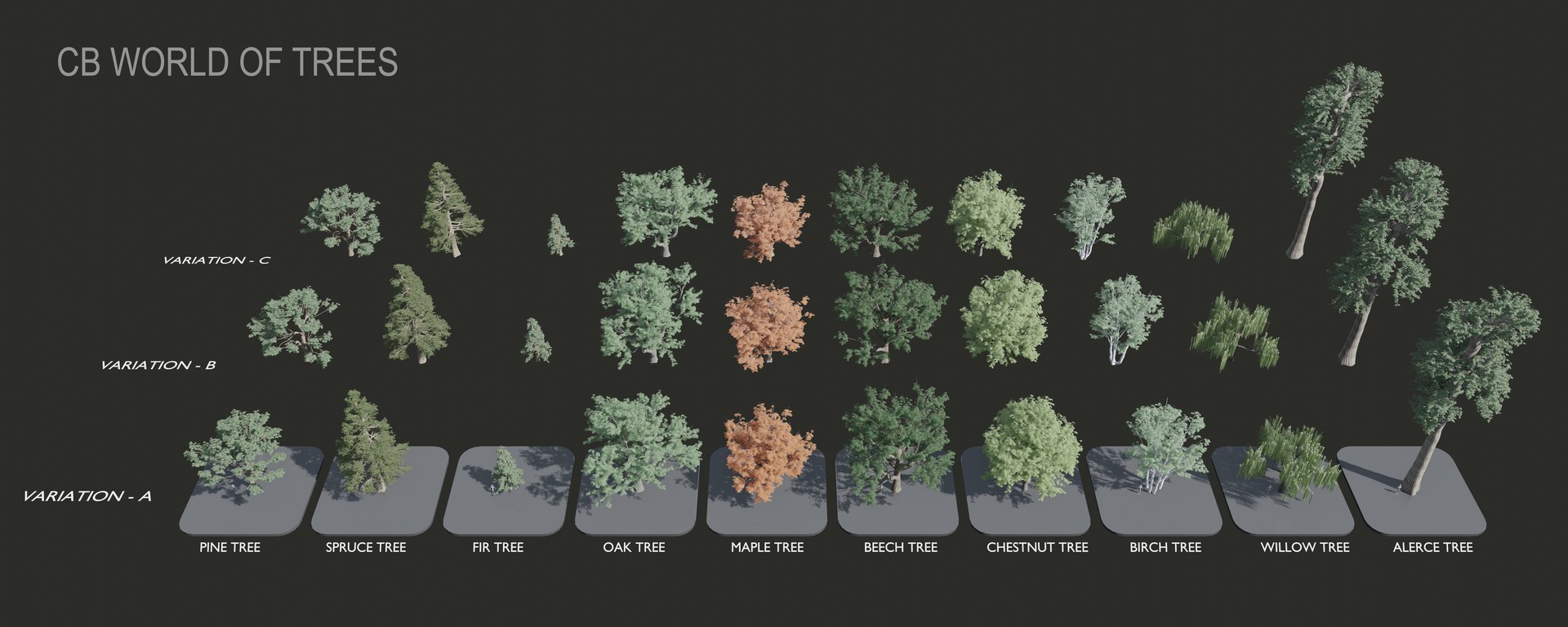 CB World Of Trees 3D Model - TurboSquid 2334839