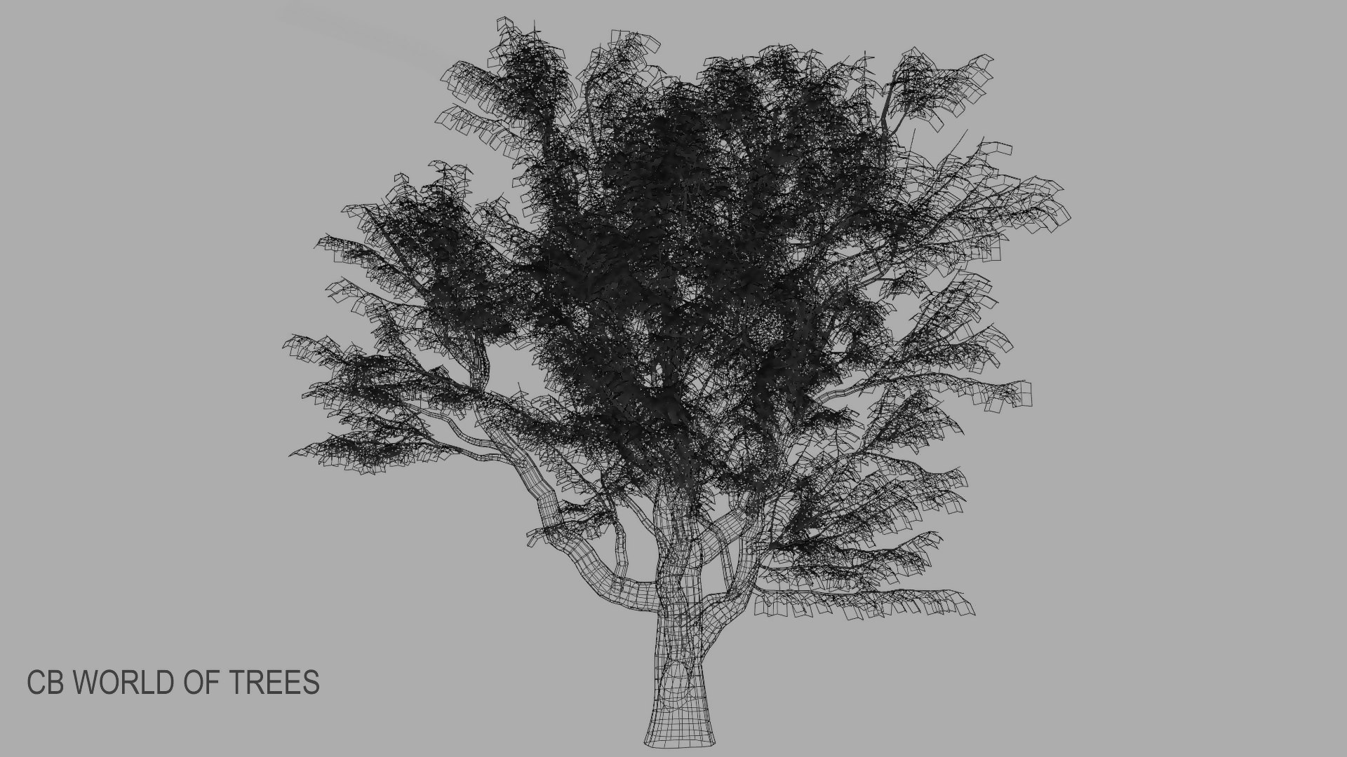 CB World Of Trees 3D Model - TurboSquid 2334839
