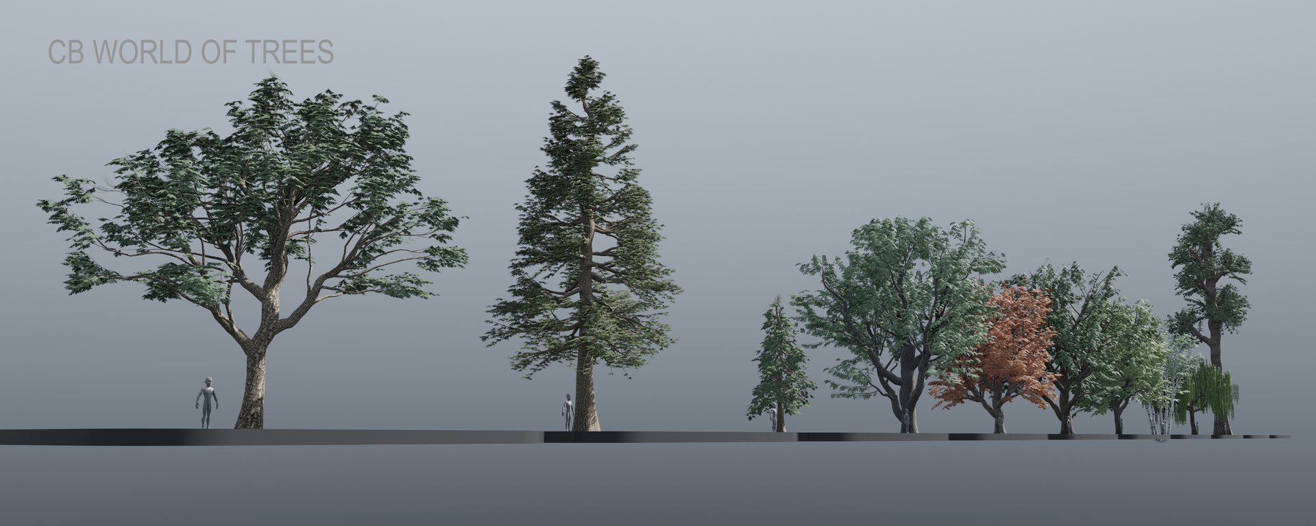 CB World Of Trees 3D Model - TurboSquid 2334839
