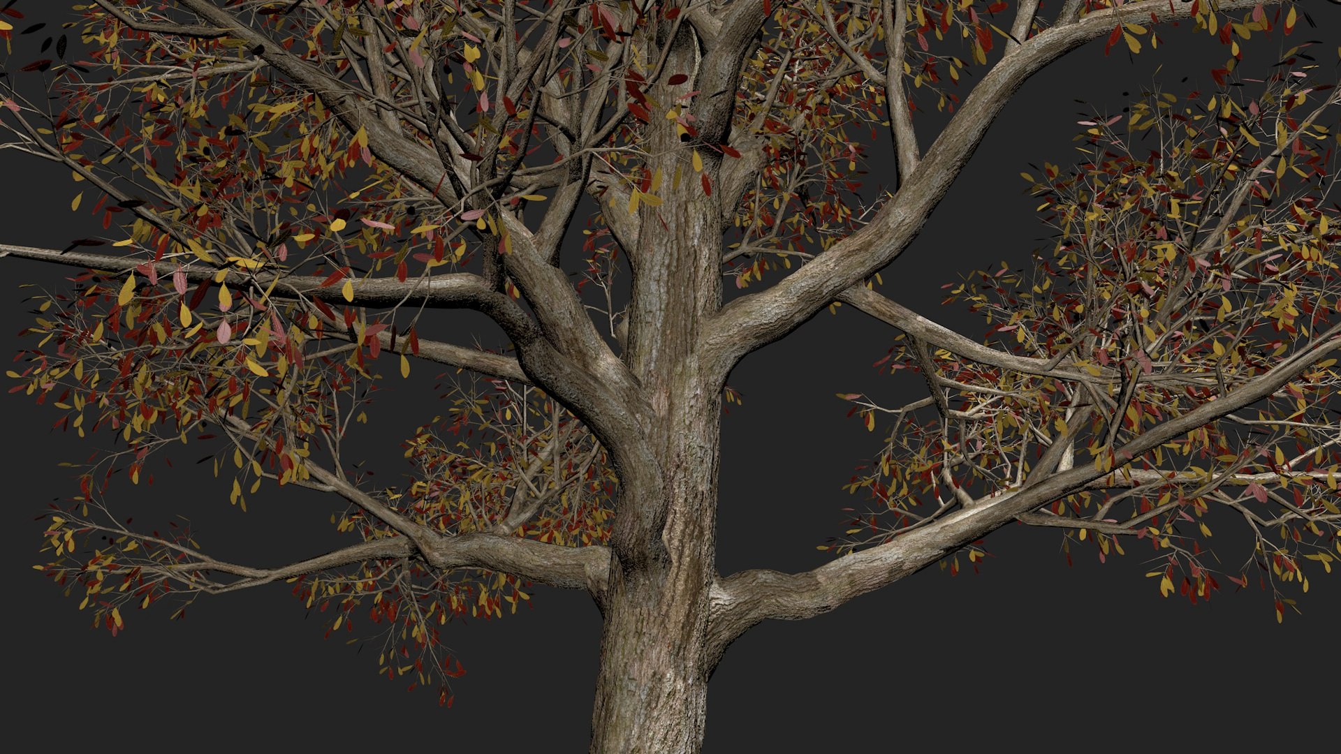 Autumn Tree 3D model - TurboSquid 1779437