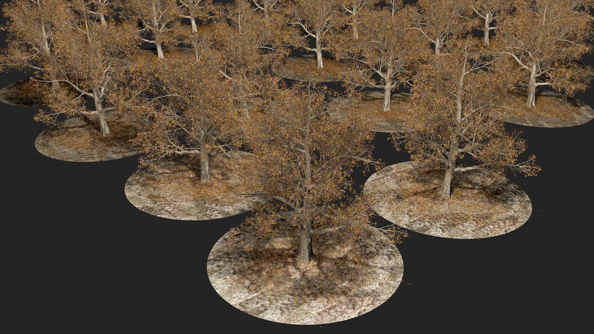 Autumn Tree 3D model - TurboSquid 1779437