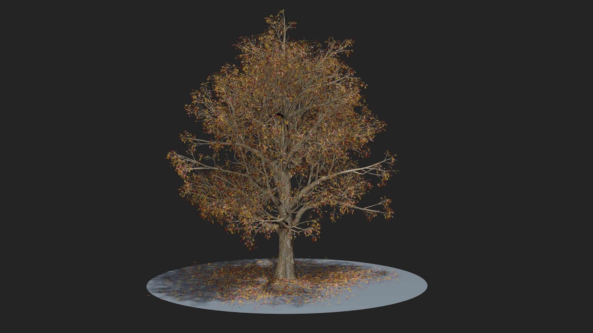 Autumn Tree 3D model - TurboSquid 1779437