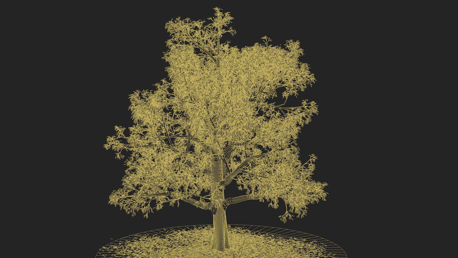 Autumn Tree 3D model - TurboSquid 1779437