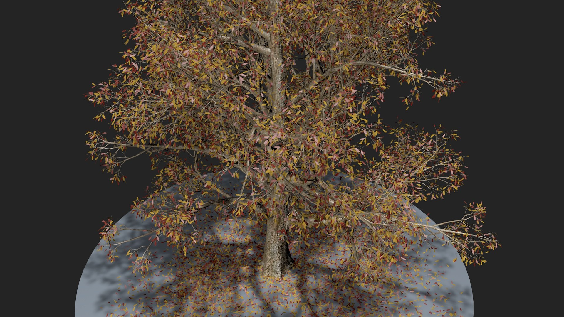 Autumn Tree 3D model - TurboSquid 1779437