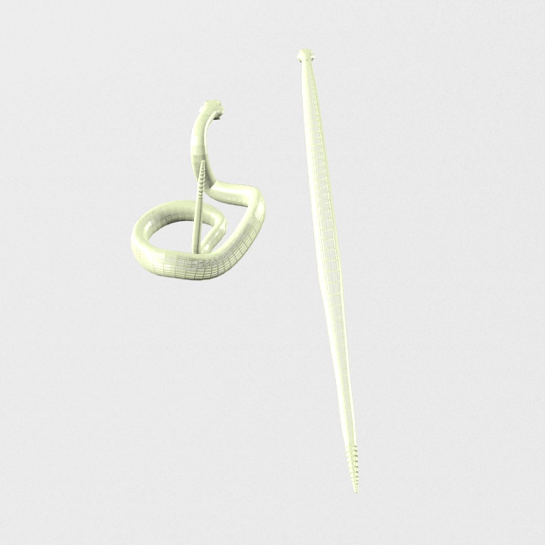 Rattlesnake 3D Model - TurboSquid 1340457