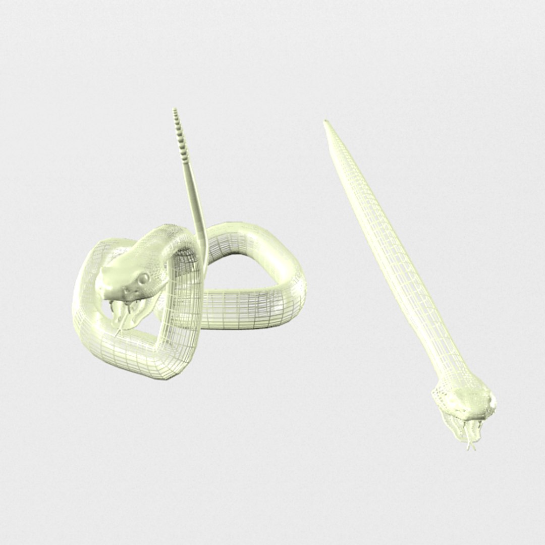 Rattlesnake 3D Model - TurboSquid 1340457