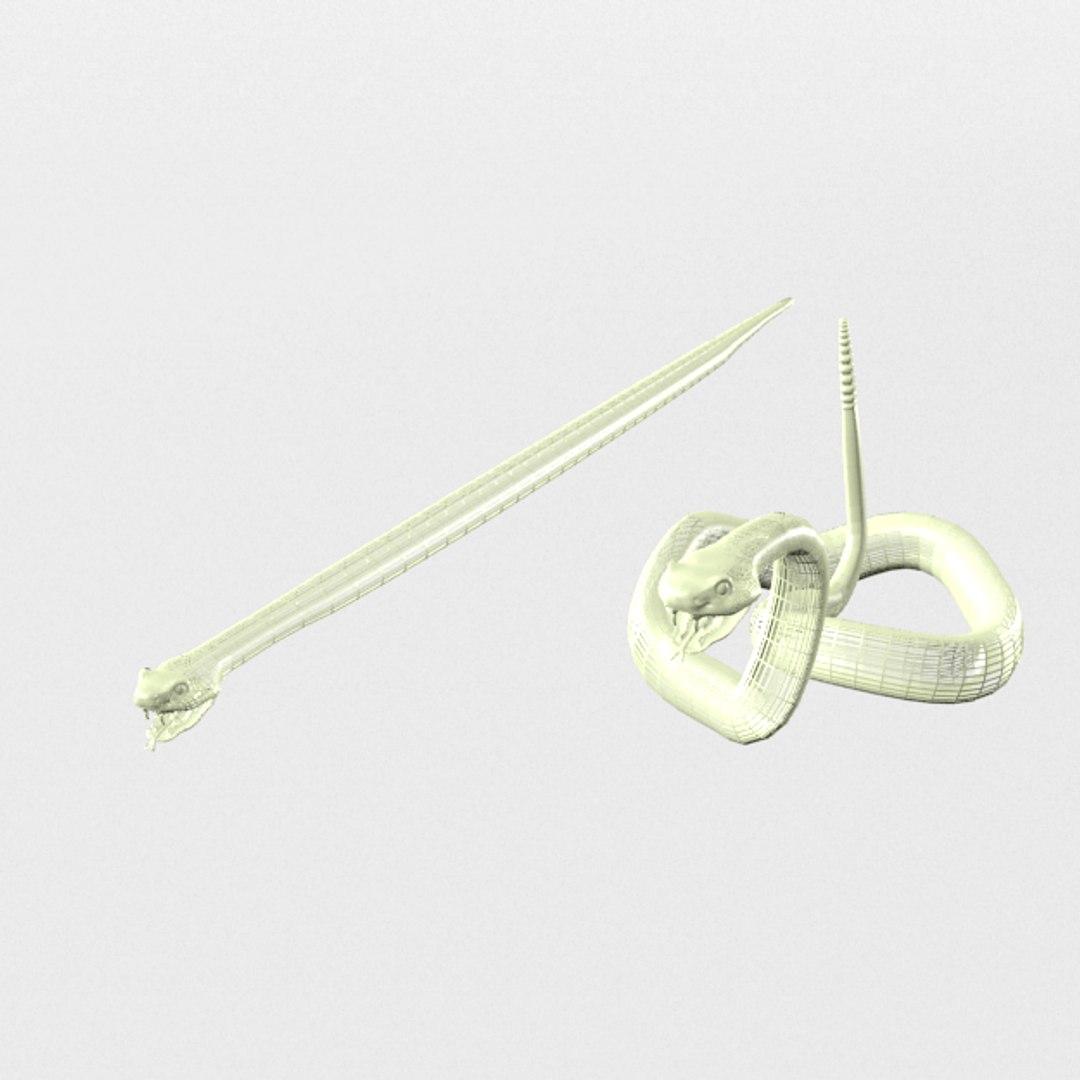 Rattlesnake 3D Model - TurboSquid 1340457