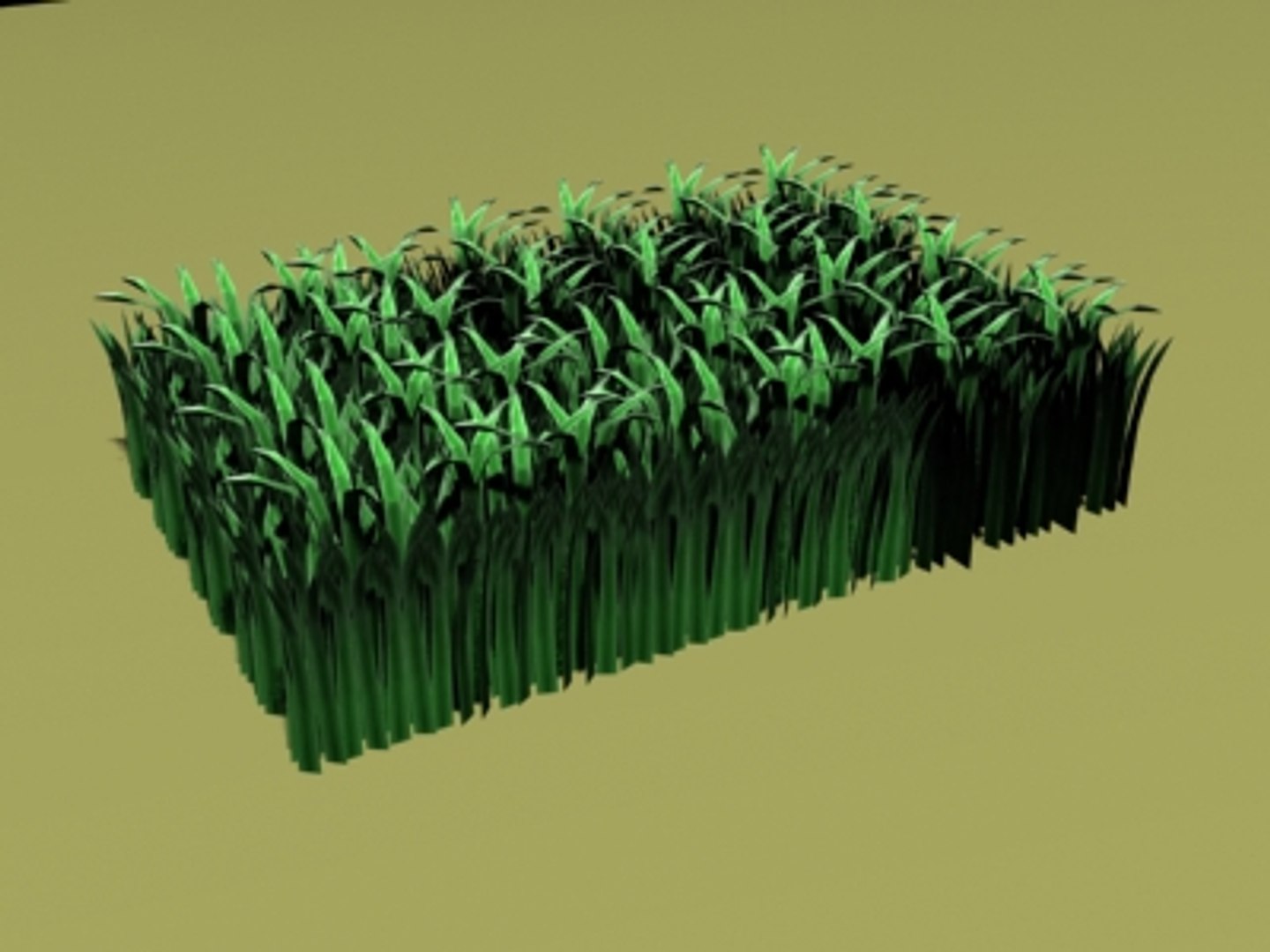 Grass Patch Type Max