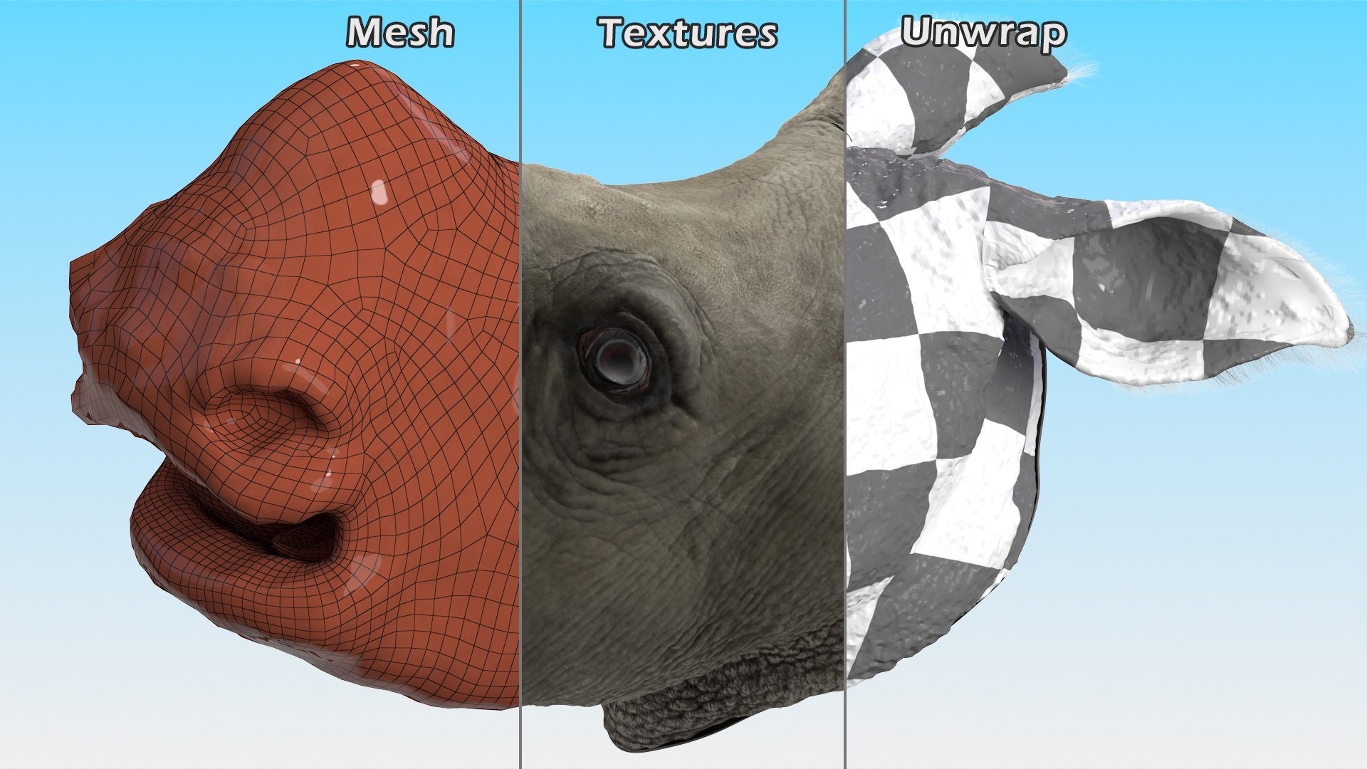 3D model rhinos heads fur - TurboSquid 1682659