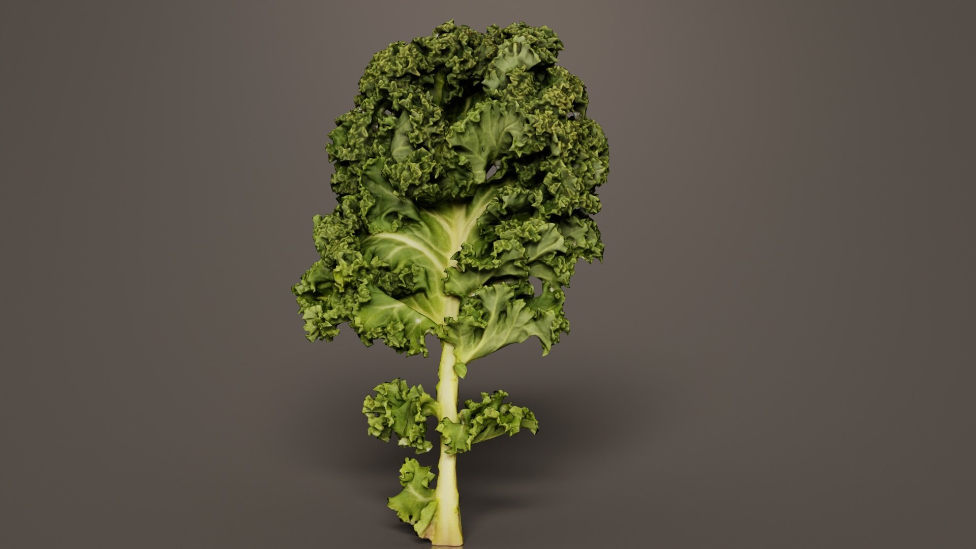 3D Model Lettuce 1 Remastered - TurboSquid 2362443