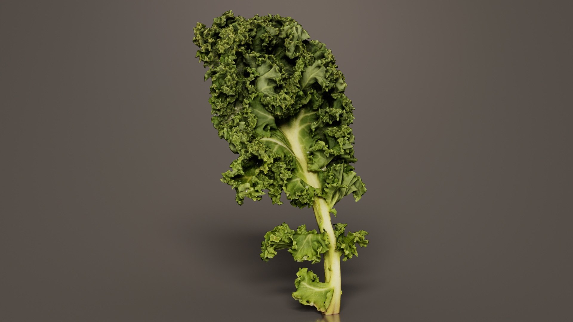 3D Model Lettuce 1 Remastered - TurboSquid 2362443